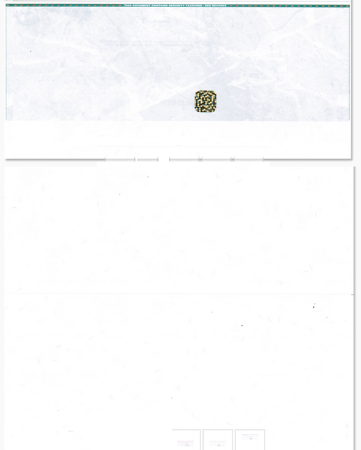 Balnk Cheque Paper balnk-cheque-paper